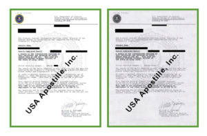 FBI Background Check Legalization for Vietnam